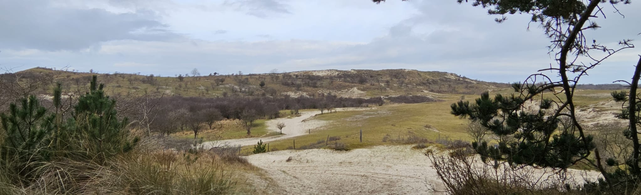 Renesse - Kop van Schouwen: 173 foto's - Zeeland, Nederland | Wandelen ...