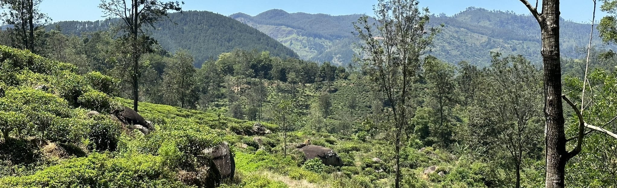 The Pekoe Trail Stage 16: Ella To Demodara, Badulla, Sri Lanka - 42 ...