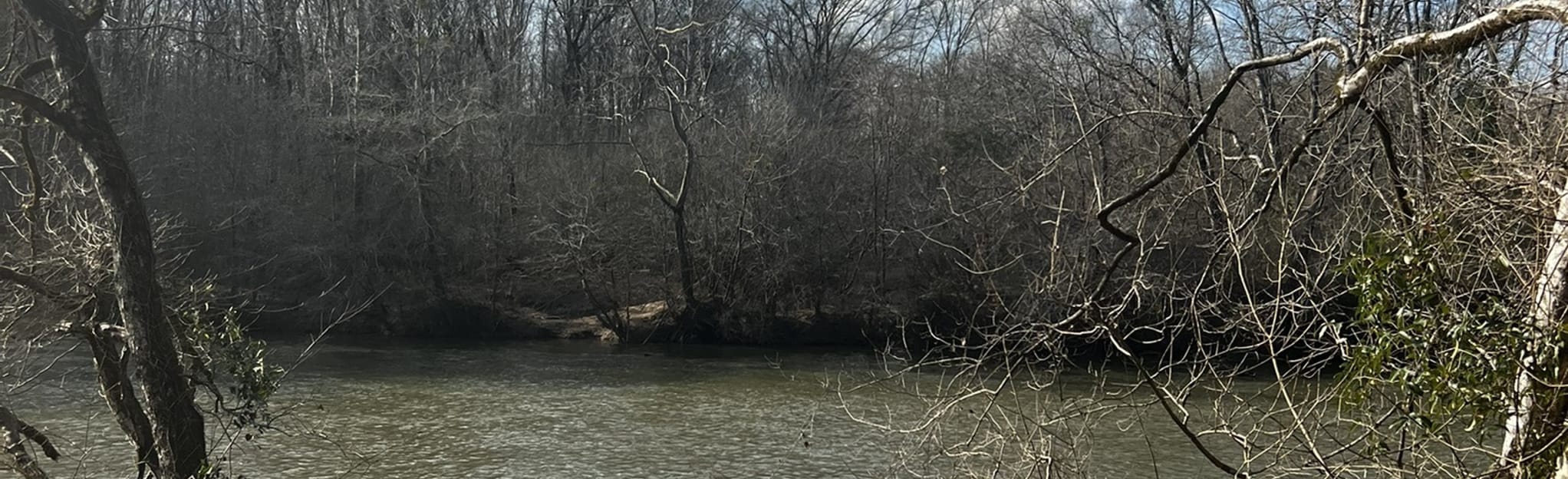 Ocmulgee River and Flats Connector Trail Loop: 19 Reviews, Map ...