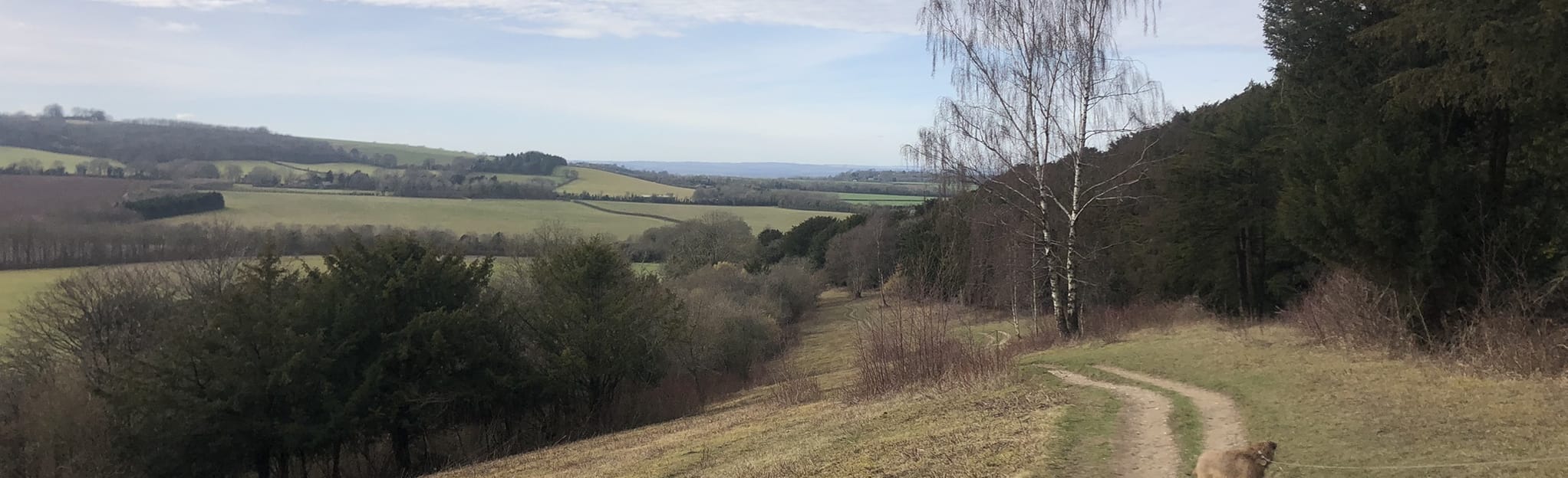Watlington Hill Short Walk, Oxfordshire, England - 22 Reviews, Map ...