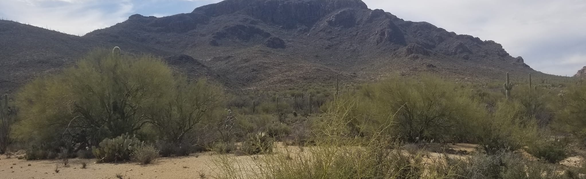 Starr Pass and Yetman Trail Loop, Arizona - 152 Reviews, Map | AllTrails