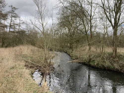 Best Hikes and Trails in Heart of England Forest - Haydon Way Wood ...