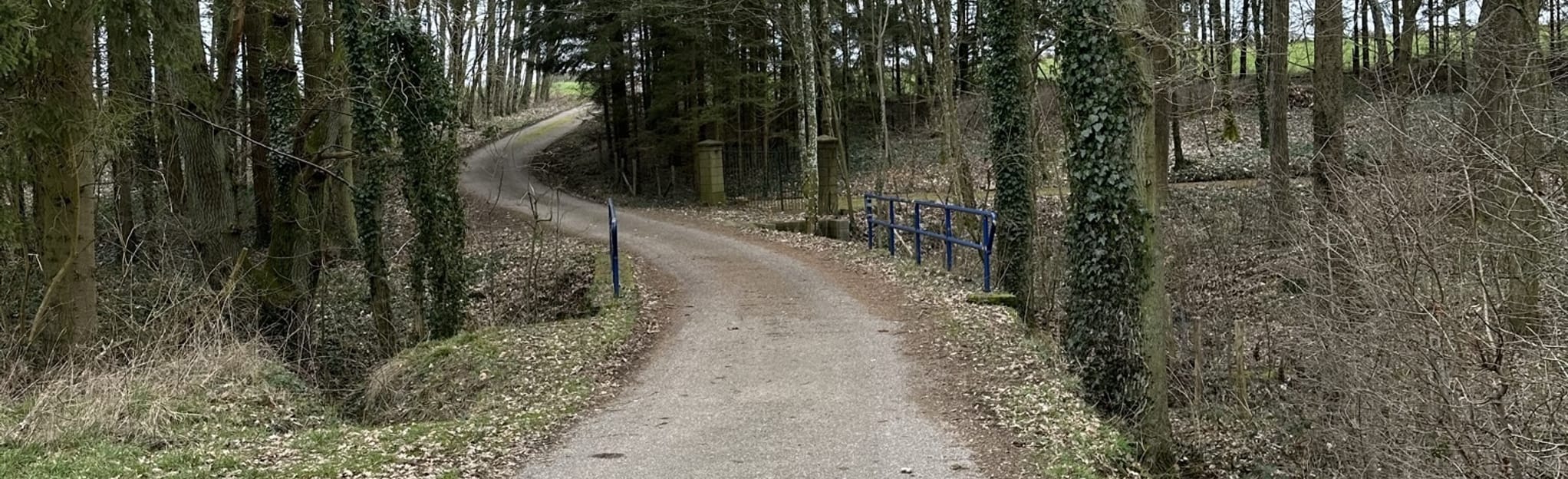 Consdorf - Osterholz Loop, Echternach, Luxembourg - 4 Reviews, Map ...