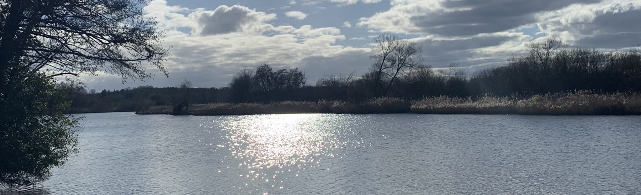 The Ferry House - Surlingham Circular: 36 Fotos - Norfolk, England ...