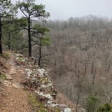 Arkansas River Trail, Arkansas - 528 Reviews, Map | AllTrails