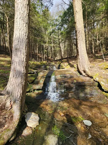 Best Hikes and Trails in West Branch Nature Preserve | AllTrails