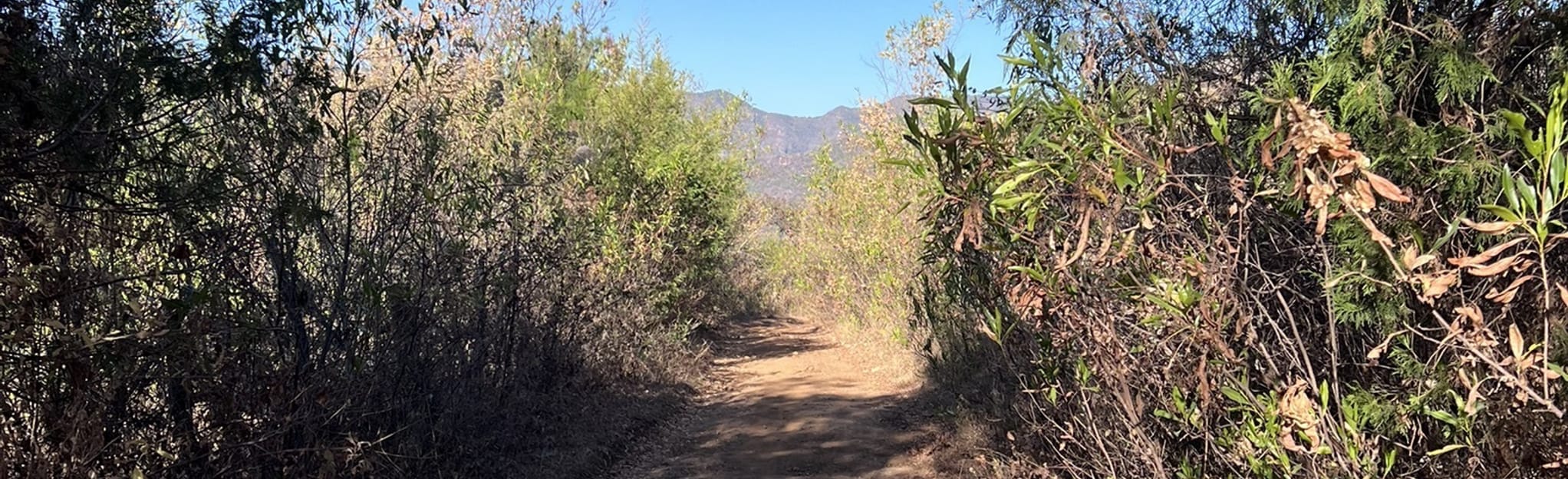 Cerros de Jalmolonga, 5 Fotos - Estado de México, México | AllTrails