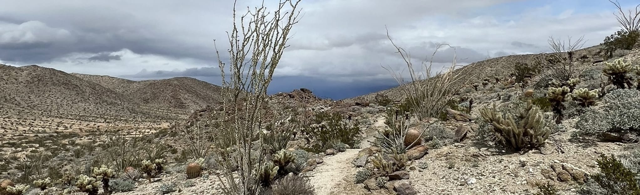 William Kenyon Overlook Trail, California - 102 Reviews, Map | AllTrails