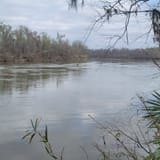 Torreya Trail, Florida - 368 Reviews, Map | AllTrails