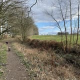 Peover Eye Circular, Cheshire, England - 91 Reviews, Map | AllTrails