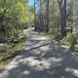 Lake Seminole Park Trail, Florida - 635 Reviews, Map | AllTrails