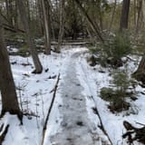 Little Traverse Lake, Michigan - 49 Reviews, Map | AllTrails
