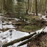 Little Traverse Lake, Michigan - 49 Reviews, Map | AllTrails