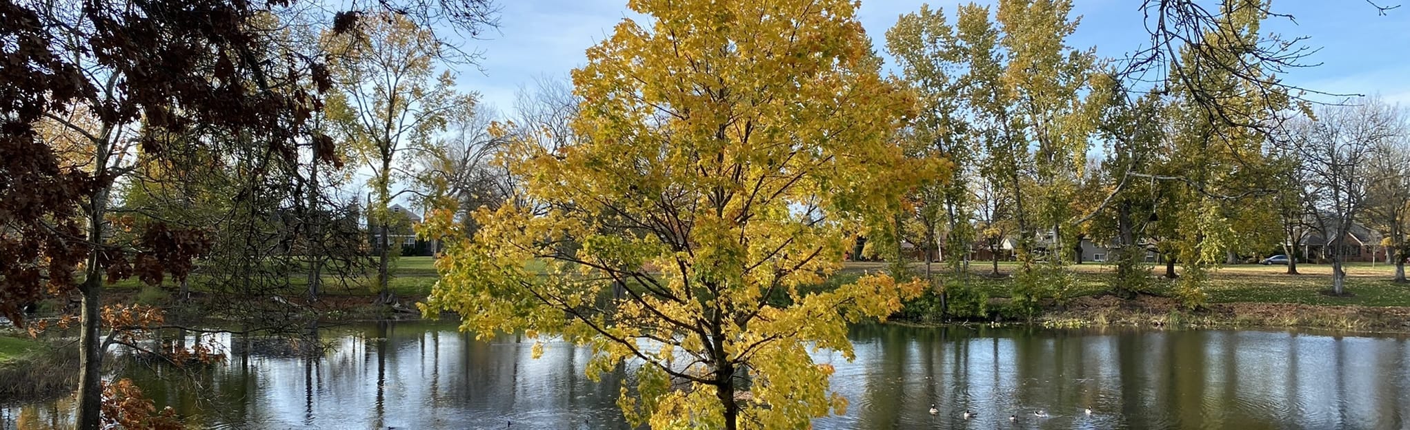 Lake Sacajawea Park Trail: 682 Reviews, Map - Washington | AllTrails