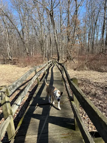 Best Hikes and Trails in Scotts Mill County Park | AllTrails