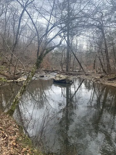 Best 10 Hikes and Trails in Duke Forest Korstian Division | AllTrails