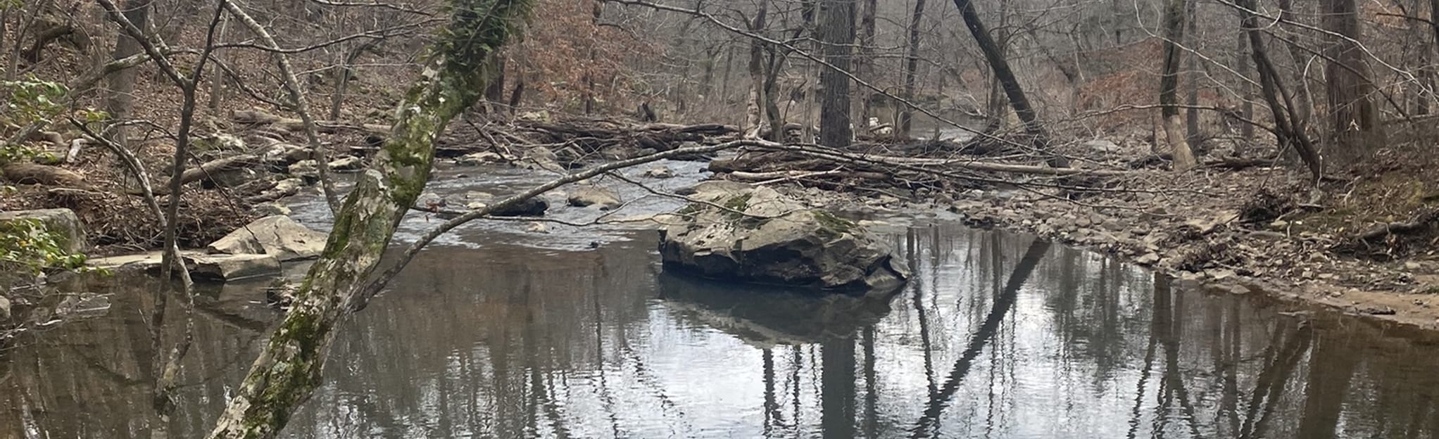 Piney Mountain via New Hope Creek Trail North | Map, Guide - North ...