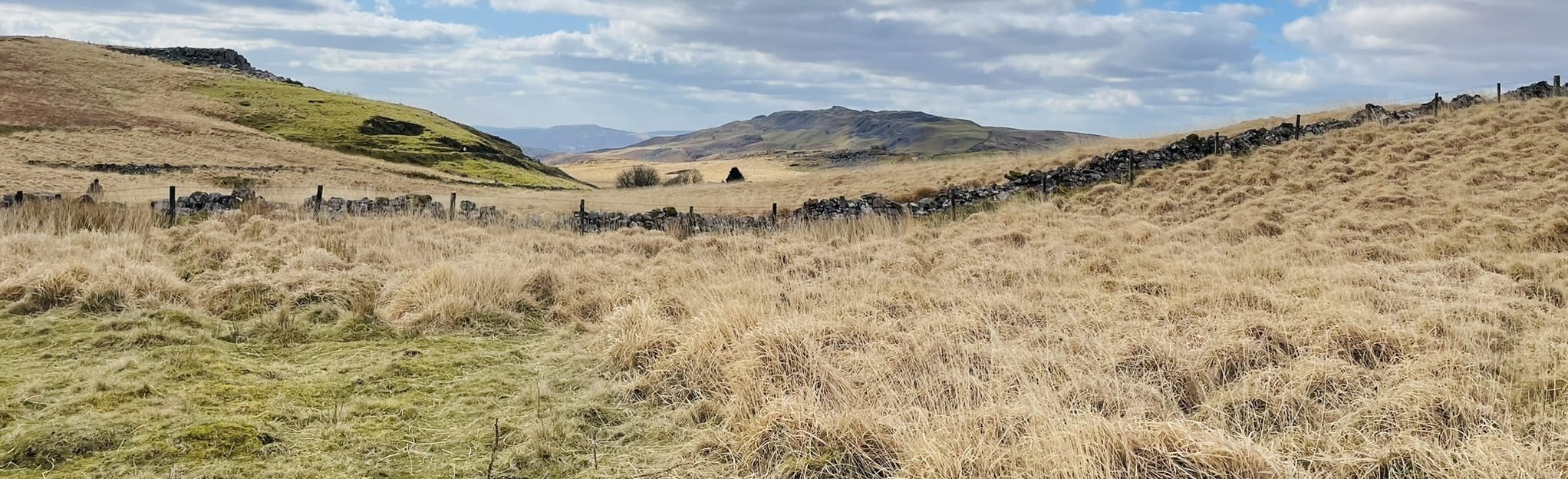 Penwyllt Circuit, Swansea, Wales - 6 Reviews, Map | AllTrails