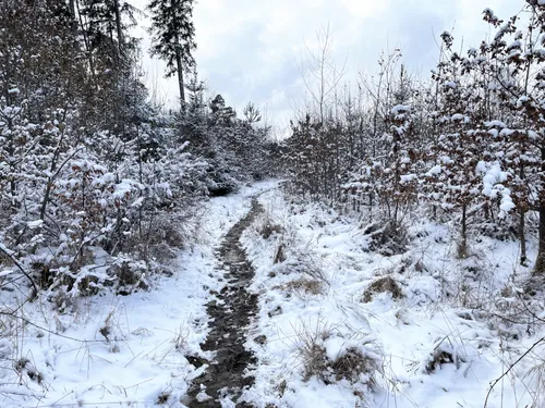 Best Hikes and Trails in Haar | AllTrails