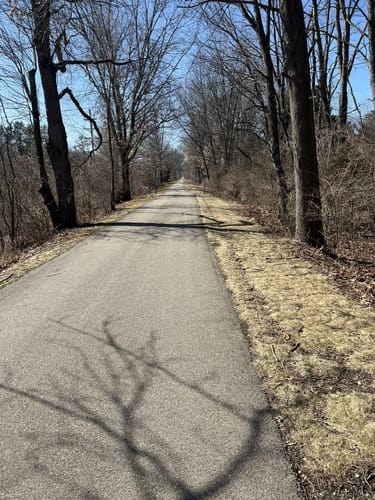 Best Hikes and Trails in Mike Levine Lakelands Trail State Park | AllTrails