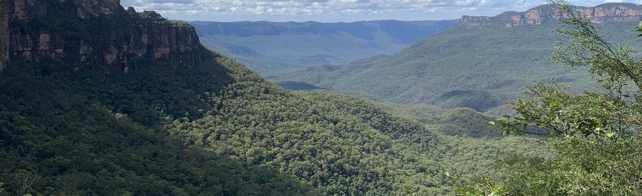 Scenic Walkway via Furber Steps: 42 Reviews, Map - New South Wales ...
