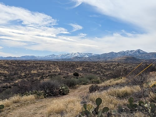 Best 10 Hikes and Trails in Oracle State Park | AllTrails