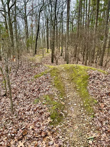 Best Hikes and Trails in Craighead Forest Park | AllTrails