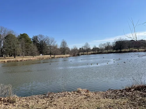 Best Hikes and Trails in Burba Lake Recreation Area | AllTrails