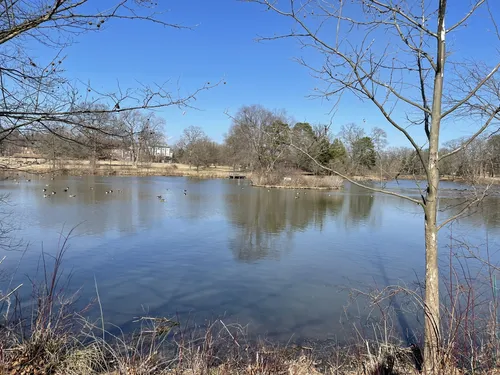 Best Hikes and Trails in Burba Lake Recreation Area | AllTrails