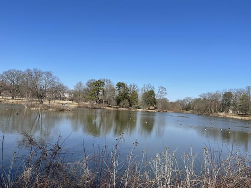 Best Hikes and Trails in Burba Lake Recreation Area | AllTrails