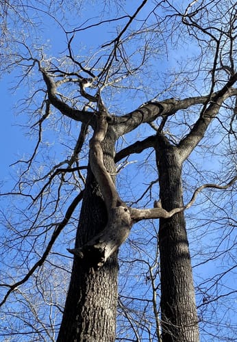 Best Hikes and Trails in Friendship Farm Park | AllTrails