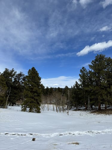 Best Hikes and Trails in Caribou Ranch Open Space | AllTrails
