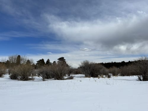 Best Hikes and Trails in Caribou Ranch Open Space | AllTrails