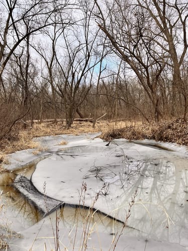 Best Hikes and Trails in Two Rivers State Recreation Area | AllTrails