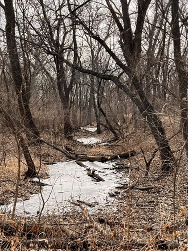 Best Hikes and Trails in Two Rivers State Recreation Area | AllTrails