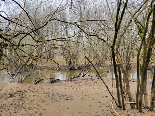 2023 Best trails in Morgan Brake National Wildlife Refuge | AllTrails