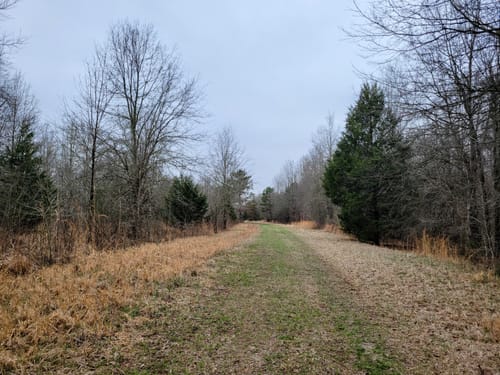 2023 Best trails in Morgan Brake National Wildlife Refuge | AllTrails