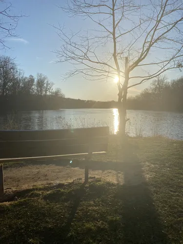 Best Hikes and Trails in Buddy Attick Lake Park | AllTrails