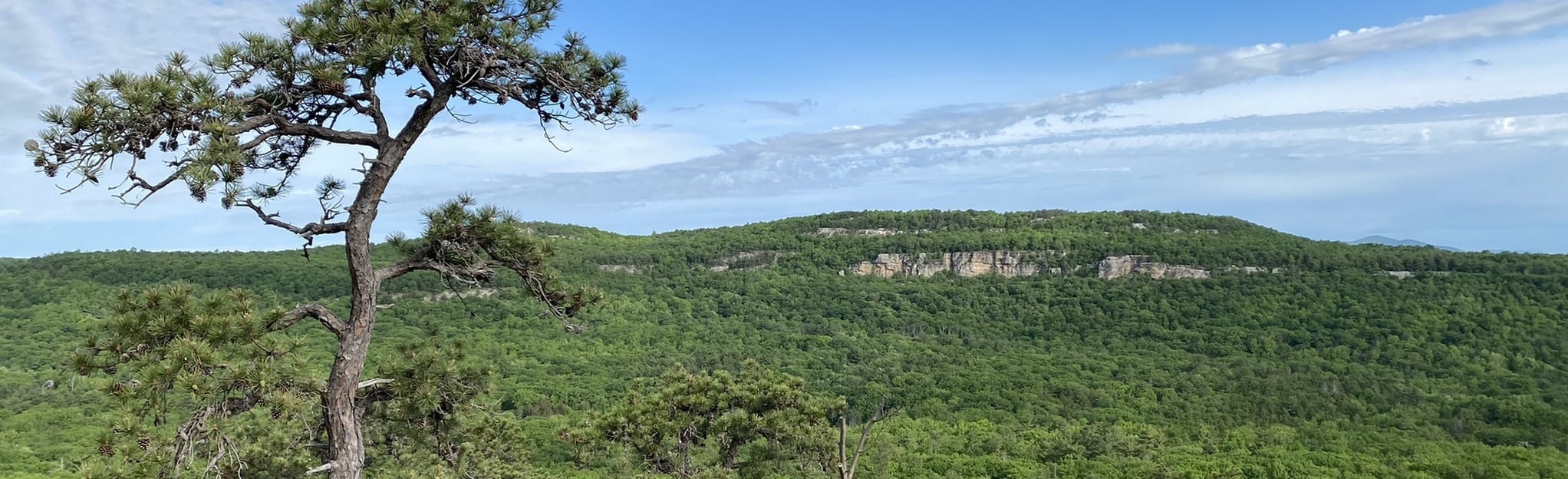 Trapps, Coxing and Millbrook Ridge Trail Loop, New York - 515 Reviews ...