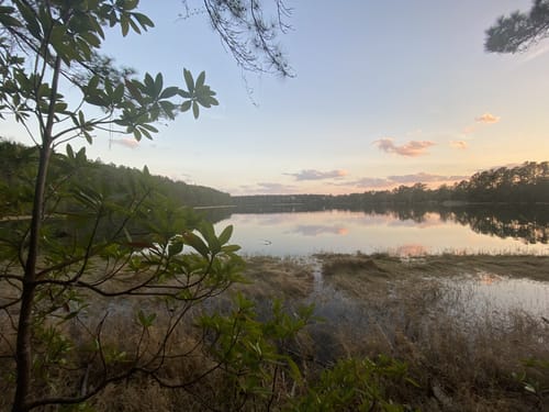 Best Hikes and Trails in William F. Sheffield Regional Park | AllTrails
