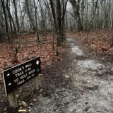 Cook's Wall Trail, North Carolina - 445 Reviews, Map | AllTrails