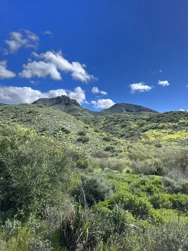 2023 Best 10 Trails and Hikes in Camarillo | AllTrails