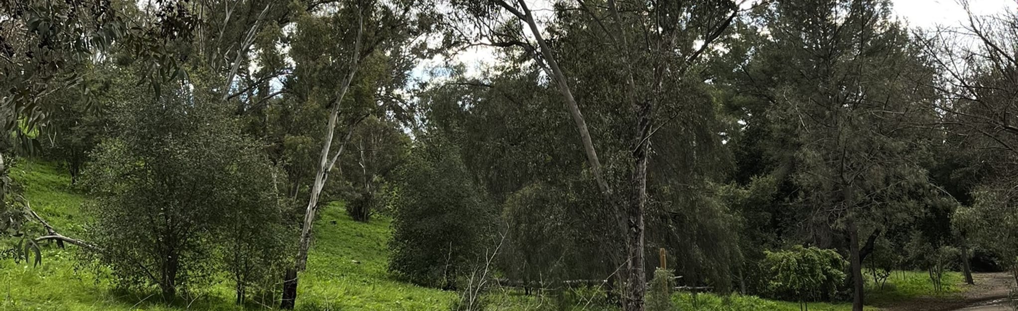 Murphy Ranch Trail , California - 1,269 Reviews, Map | AllTrails