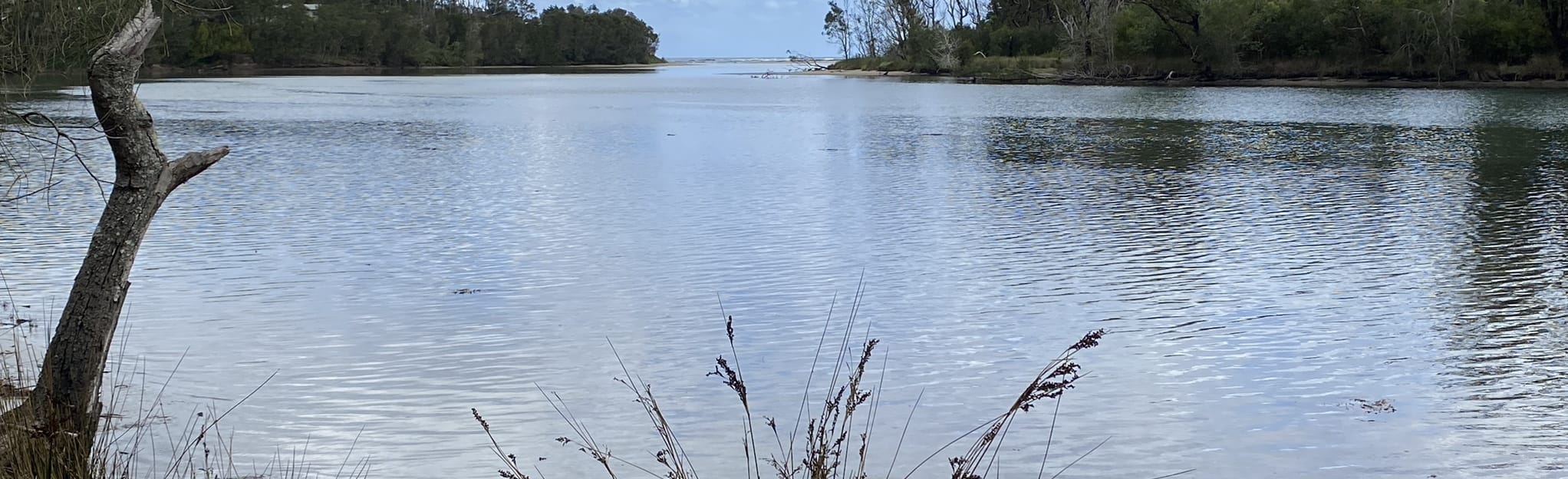 Berrara Waterfall, New South Wales, Australia - 41 Reviews, Map | AllTrails