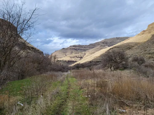 Best Hikes and Trails in Redbird Canyon Wildlife Management Area ...