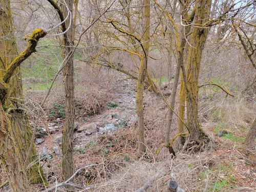 Best Hikes and Trails in Redbird Canyon Wildlife Management Area ...