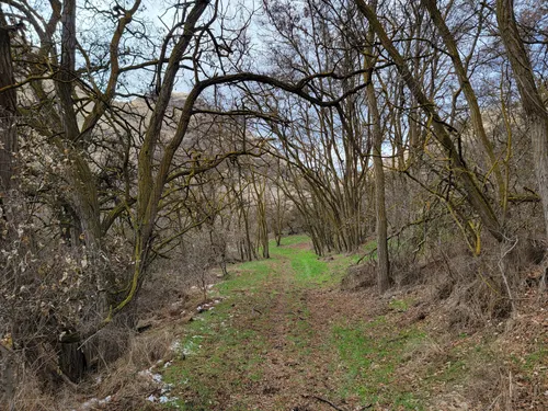 Best Hikes and Trails in Redbird Canyon Wildlife Management Area ...