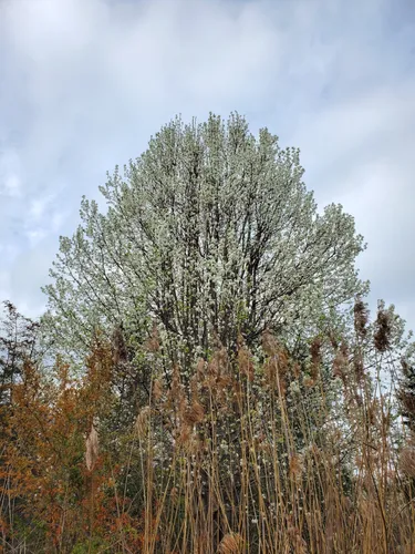 Best Hikes and Trails in Cavalier Wildlife Management Area | AllTrails