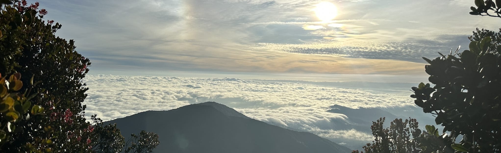 Kuala Mu - Bonsai Peak, Perak, Malaysia - 3 Reviews, Map | AllTrails