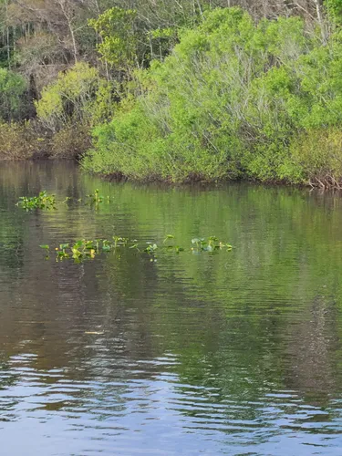 Best Hikes and Trails in Lake Ashby Park | AllTrails